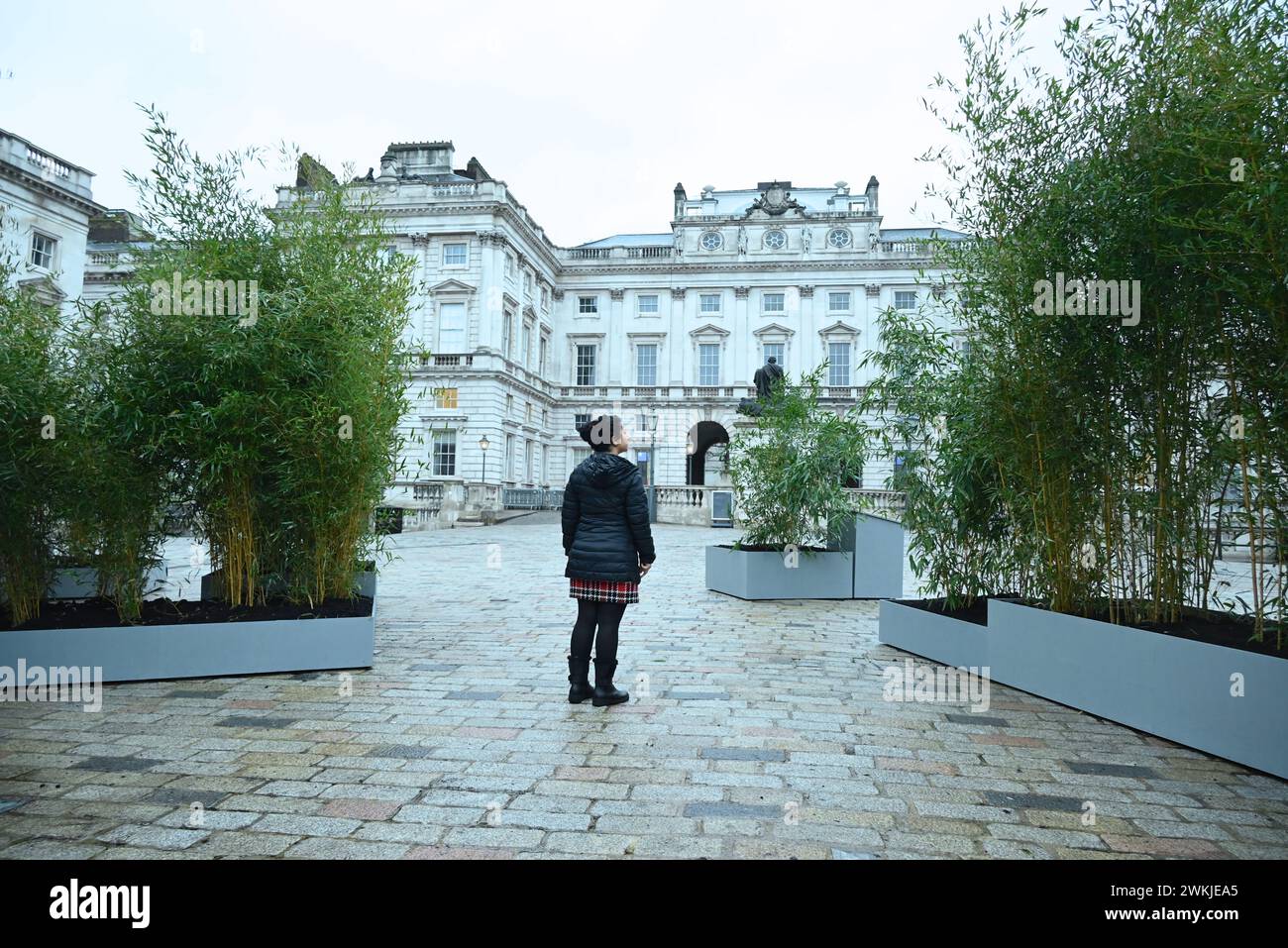 Using over 300 locally sourced bamboos, the 15-metre-long installation ...