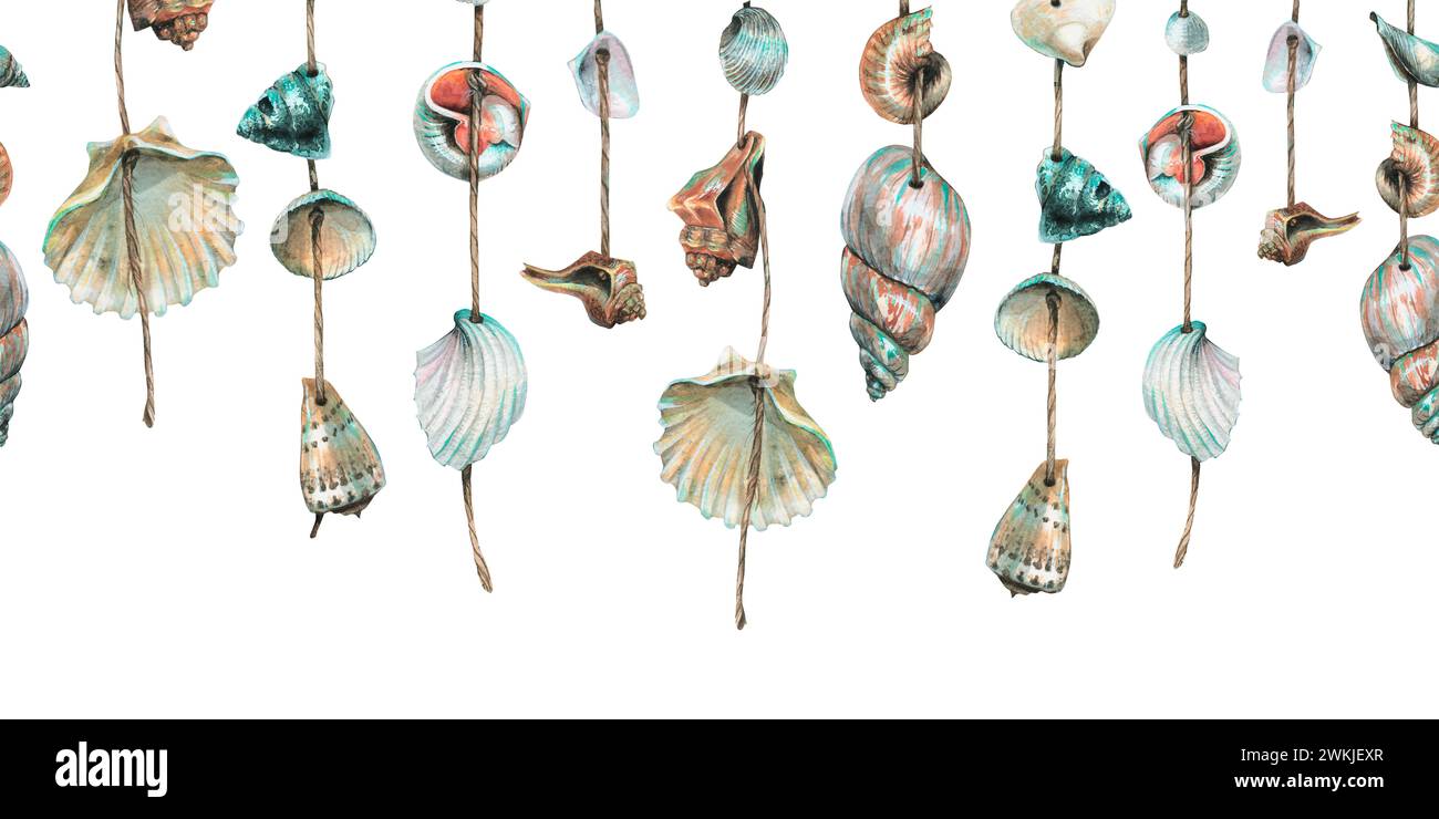 Various seashells are round, spiral, suspended on ropes. Marine ...