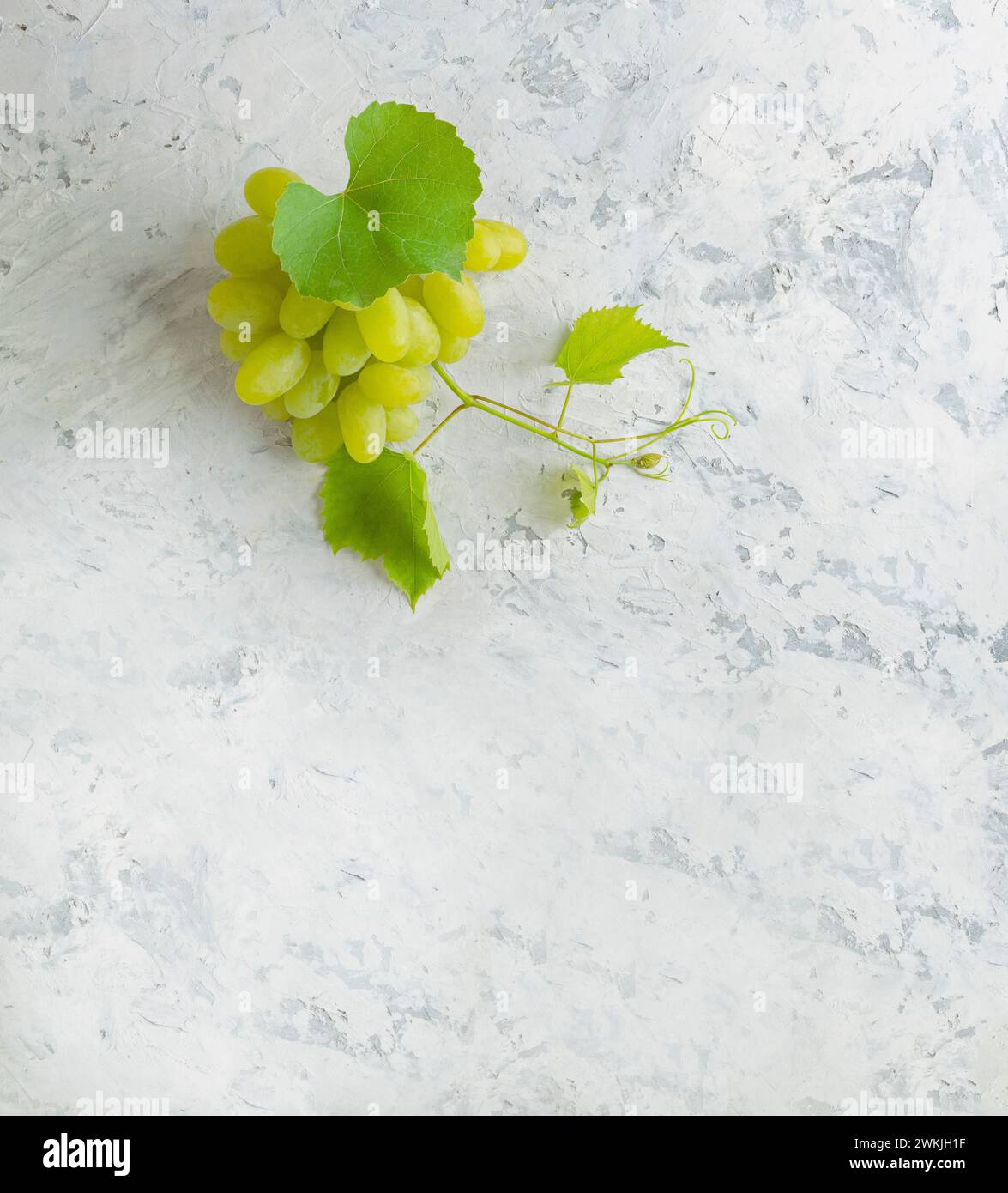 Top view of green vine, and ripe grape on vintage gray stone table ...