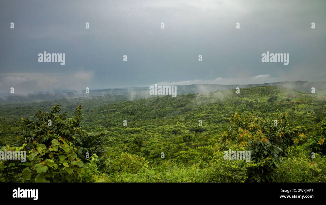 Steam rises from tropical forest after unseasonal heavy rain near ...