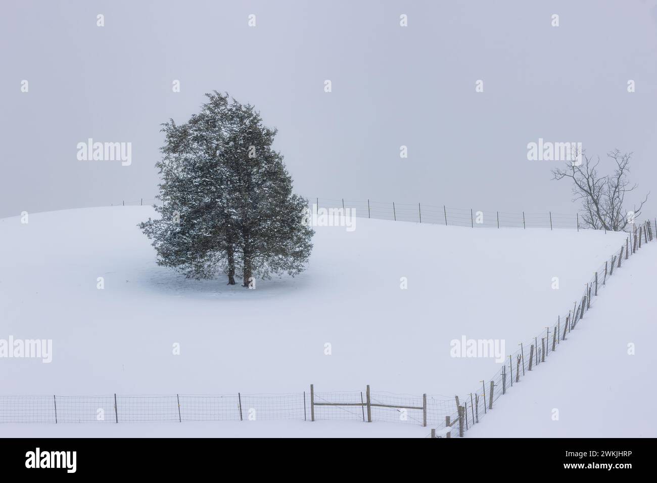 Land fill landscape hi-res stock photography and images - Alamy