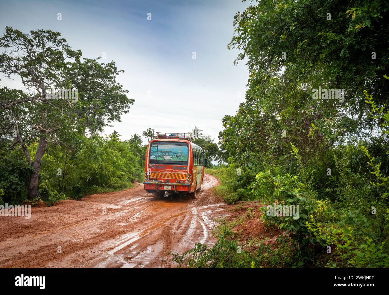 A public bus drives down a wet and muddy red earth road near ...