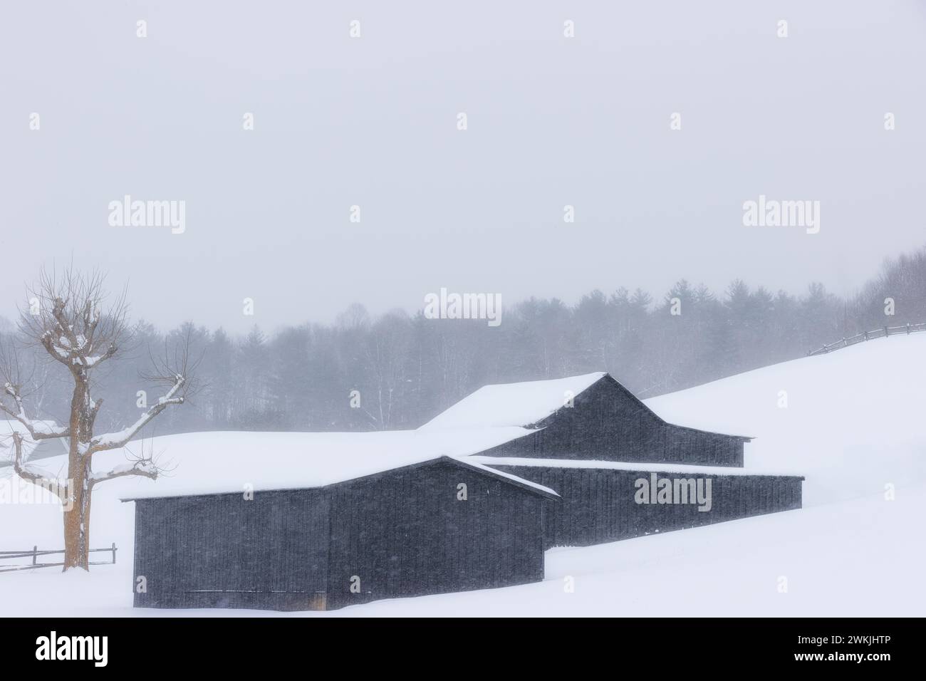 Fence built black white hi-res stock photography and images - Alamy