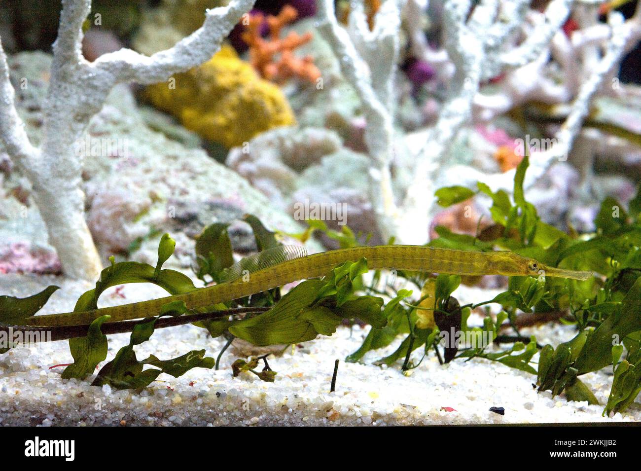 Atlantic and mediterranean coasts of europe hi-res stock photography ...