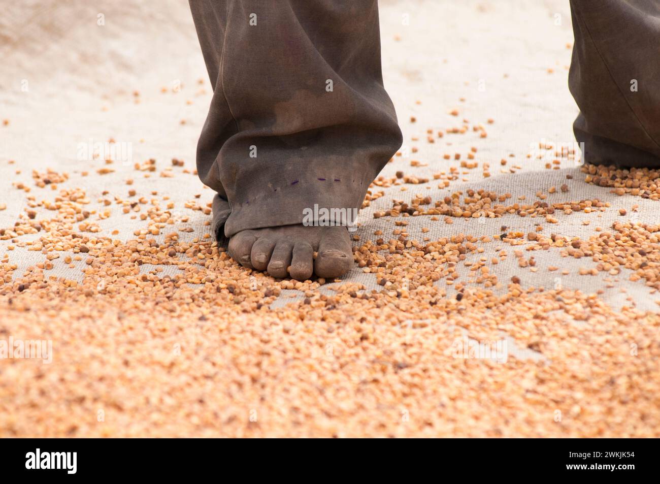 Getreide export hi-res stock photography and images - Alamy