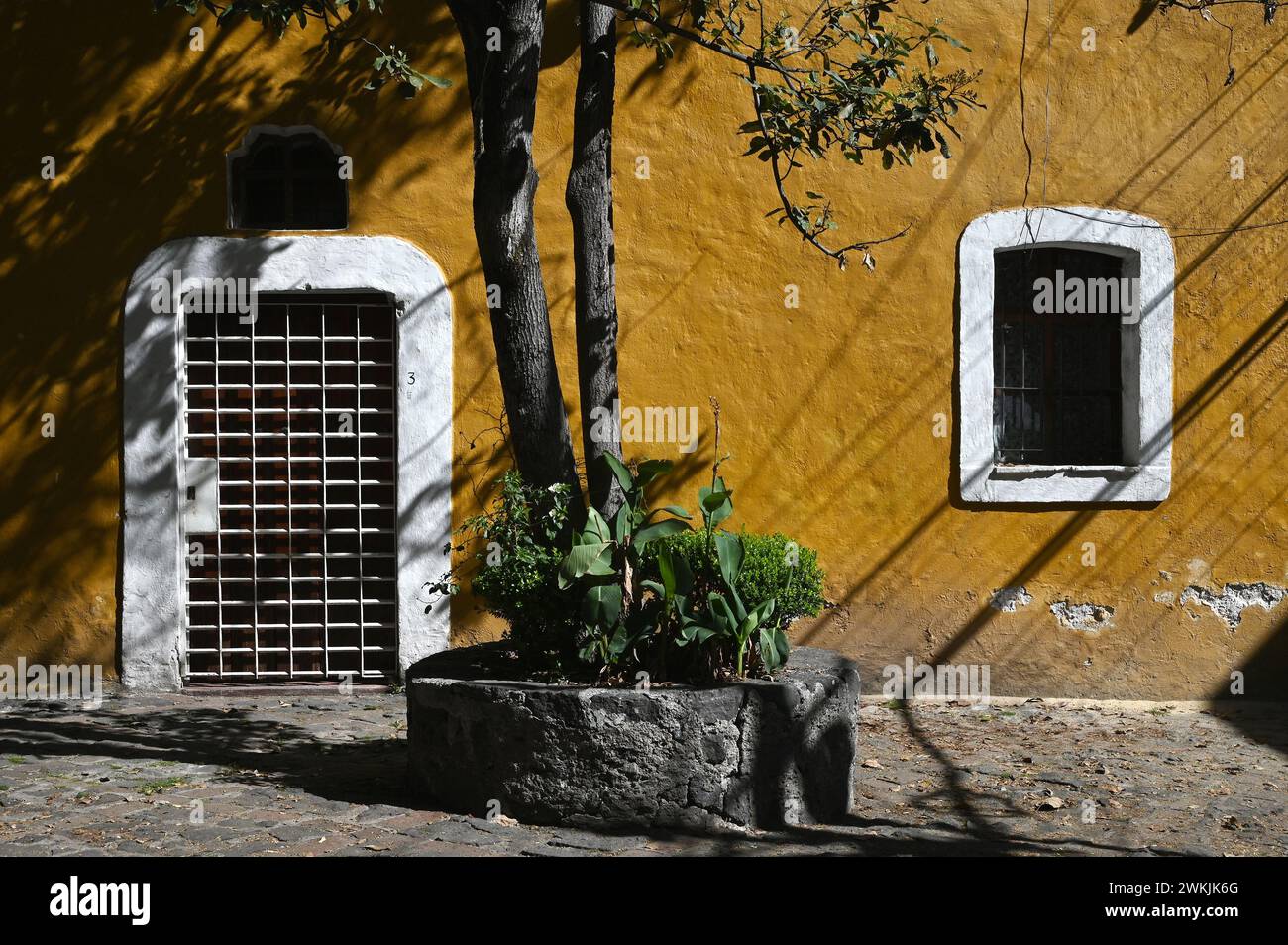Sosa coyoacan mexico city hi-res stock photography and images - Alamy