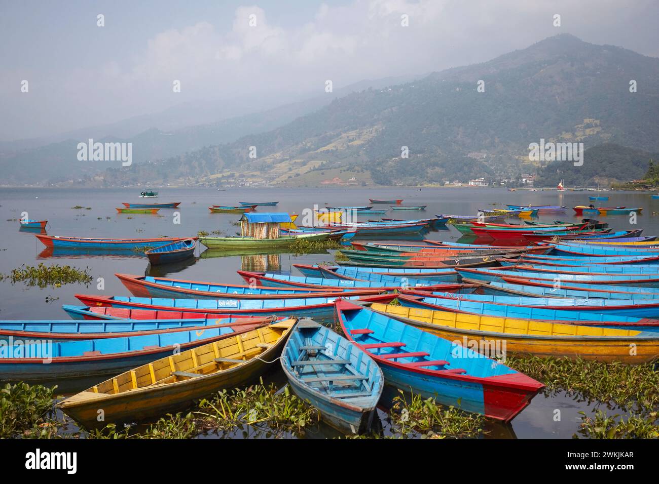 Pokhara nepal boat hi-res stock photography and images - Alamy