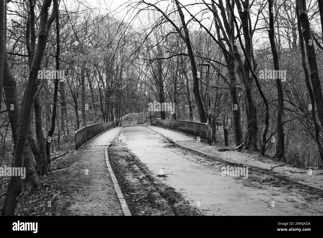 Tropical garden path Black and White Stock Photos & Images - Alamy