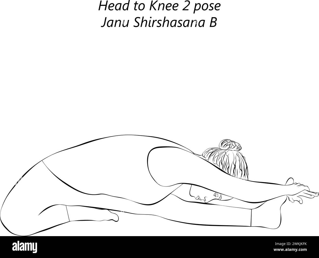 Sketch of woman doing yoga Janu Shirshasana B. Head to Knee 2 pose ...