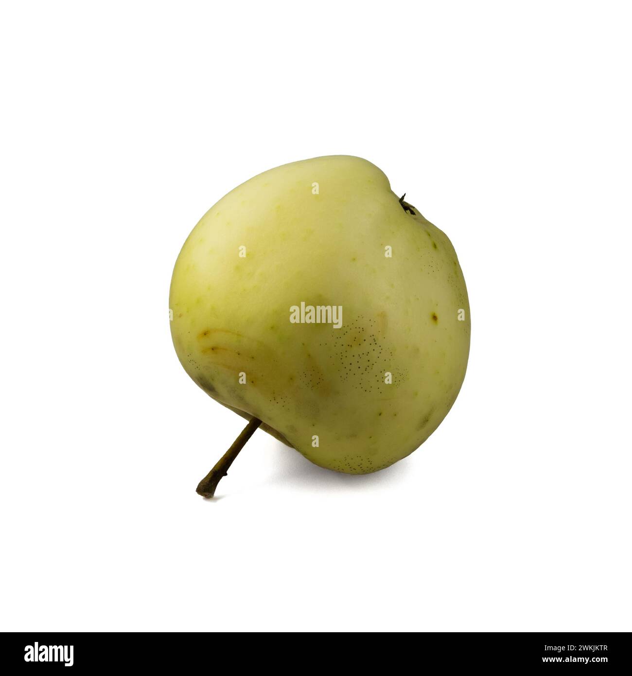 Bad apples, rotten fruit A rotten apple. Isolated in white background ...