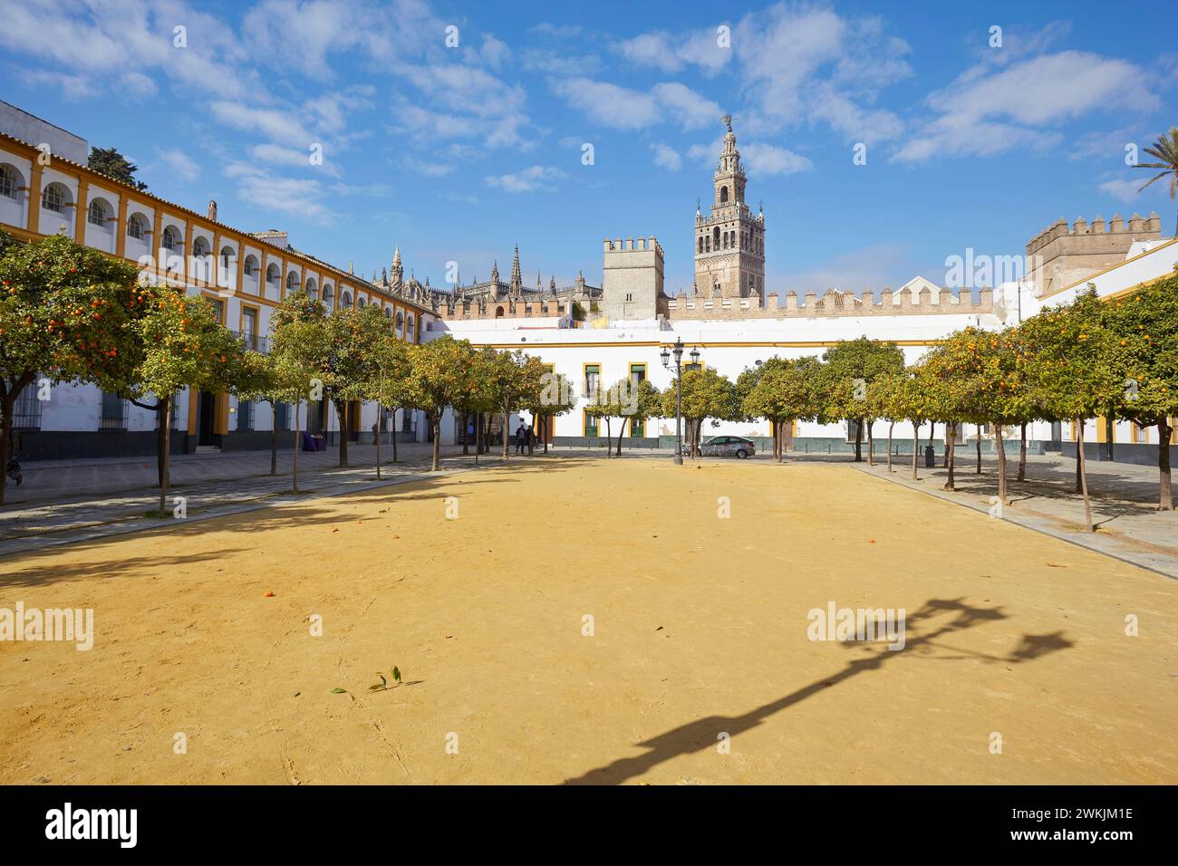 Orange trees in the "Patios de la Bandera" with the Giralda Tower Bell ...