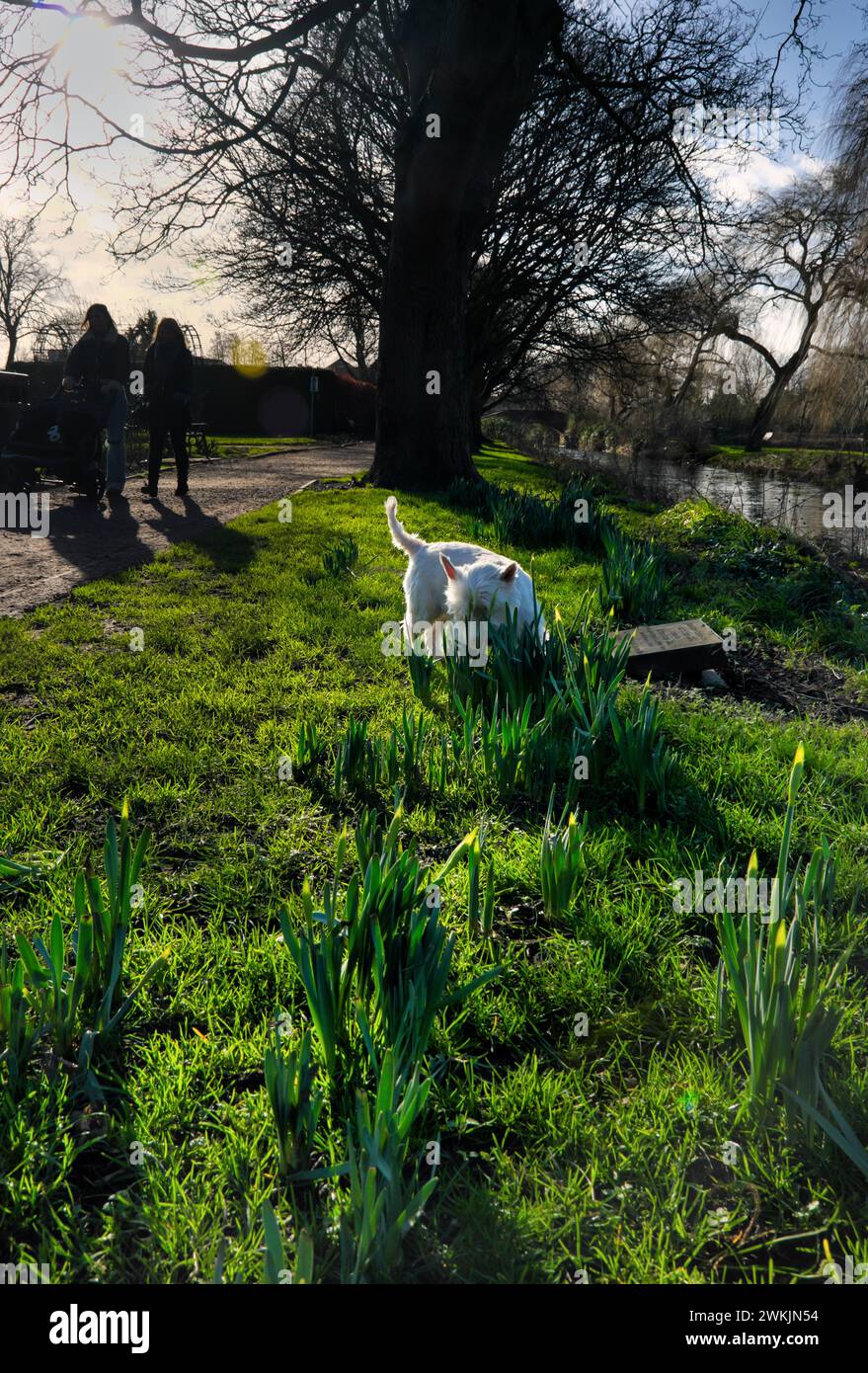 Retford hi-res stock photography and images - Alamy