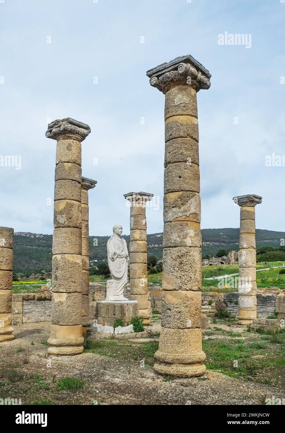 Baelo Claudia, temple Stock Photo - Alamy