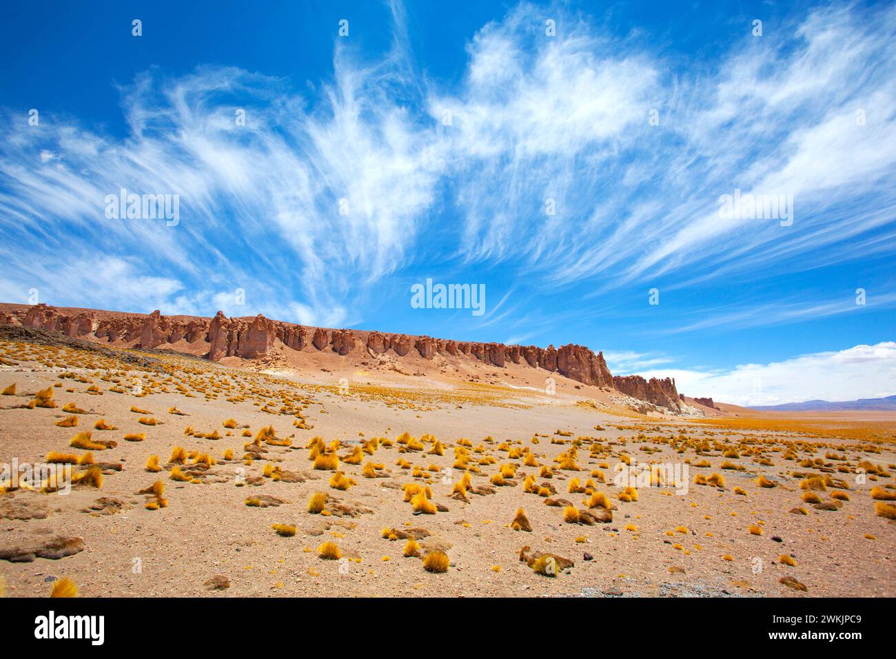 The Salar the Tara salt flat landscape, Atacama, Chile Stock Photo - Alamy