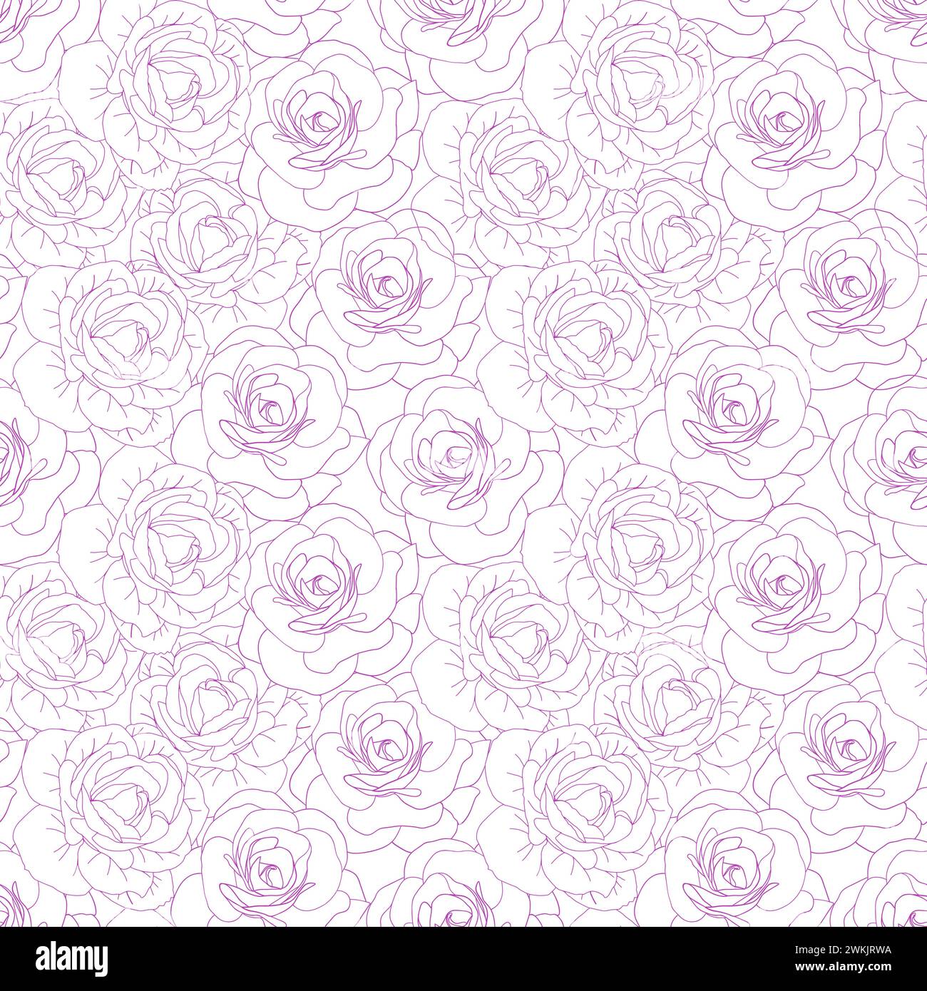 Camellia pink line art flower seamless pattern. Delicate rose flower ...