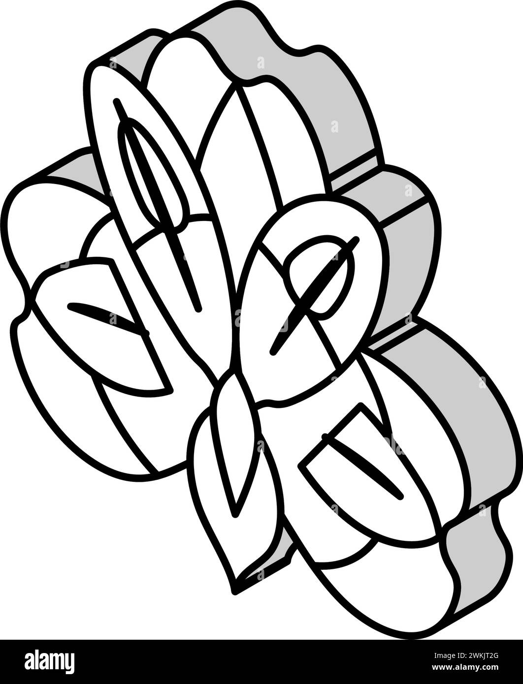 alstroemeria blossom spring isometric icon vector illustration Stock ...