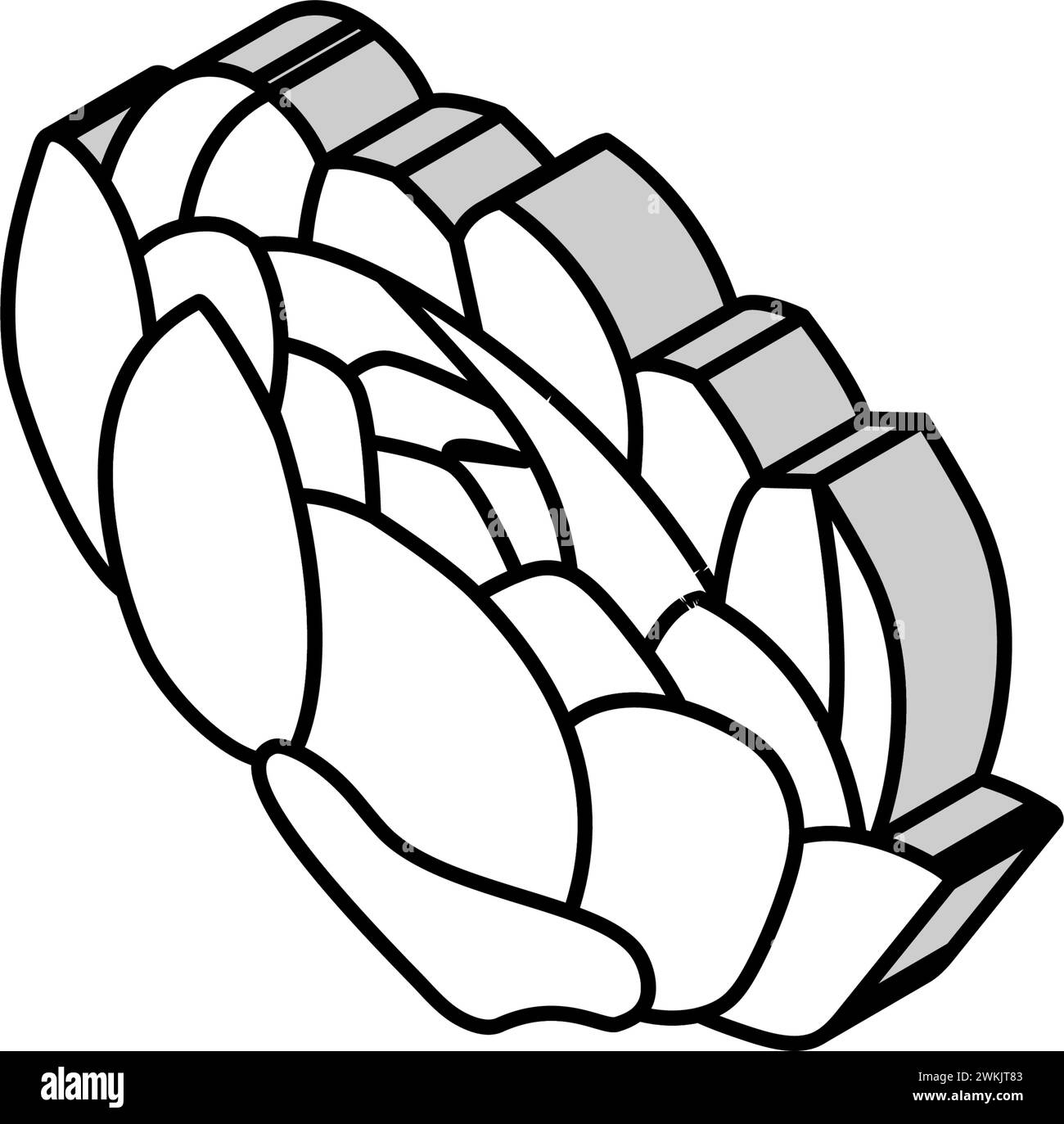 peony blossom spring isometric icon vector illustration Stock Vector ...