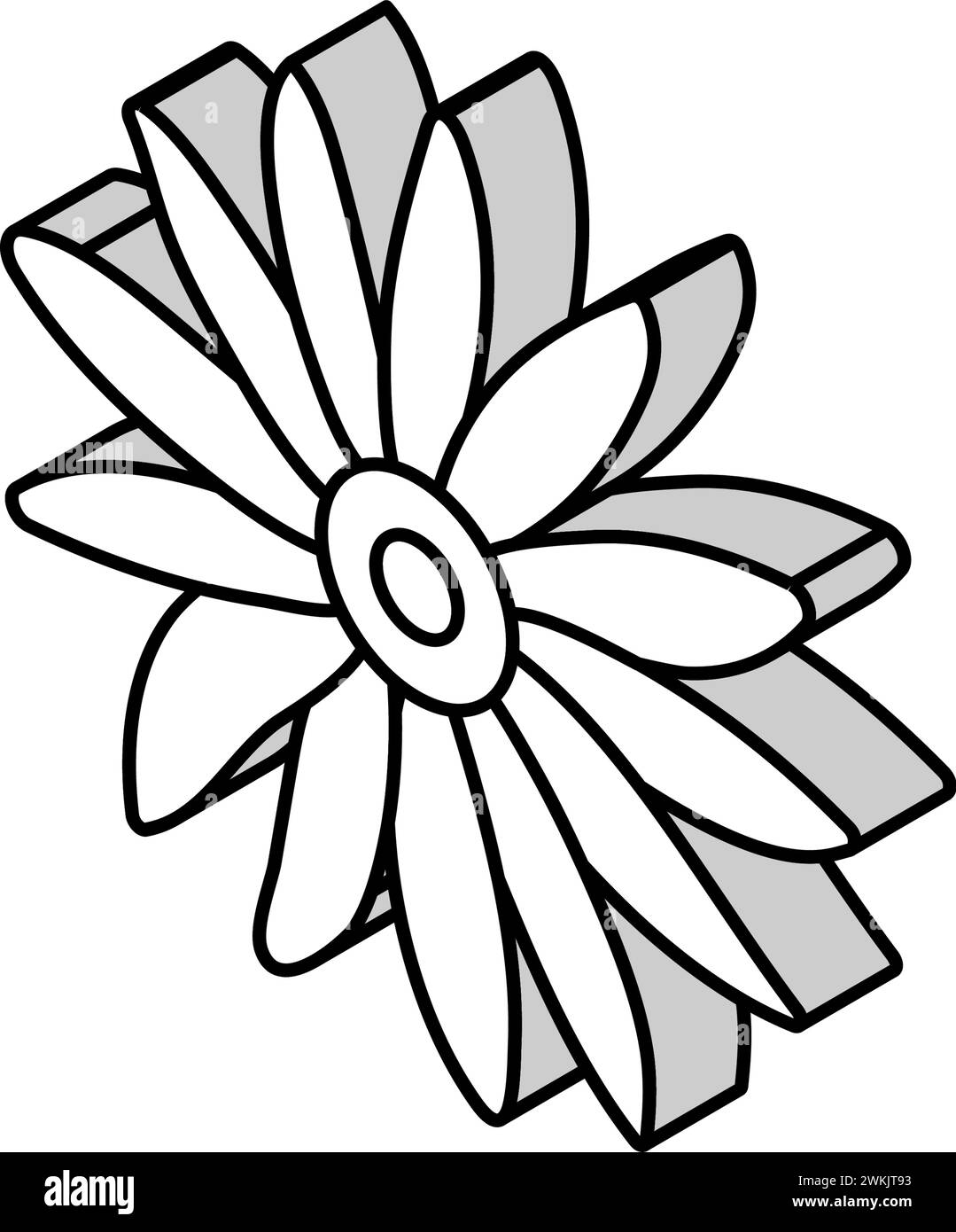 black eyed susan flower spring isometric icon vector illustration Stock ...