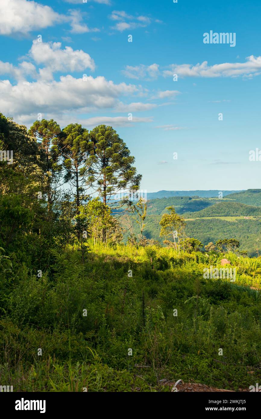 A view of the countryside in the Carapina Valley - Sao Francisco de ...