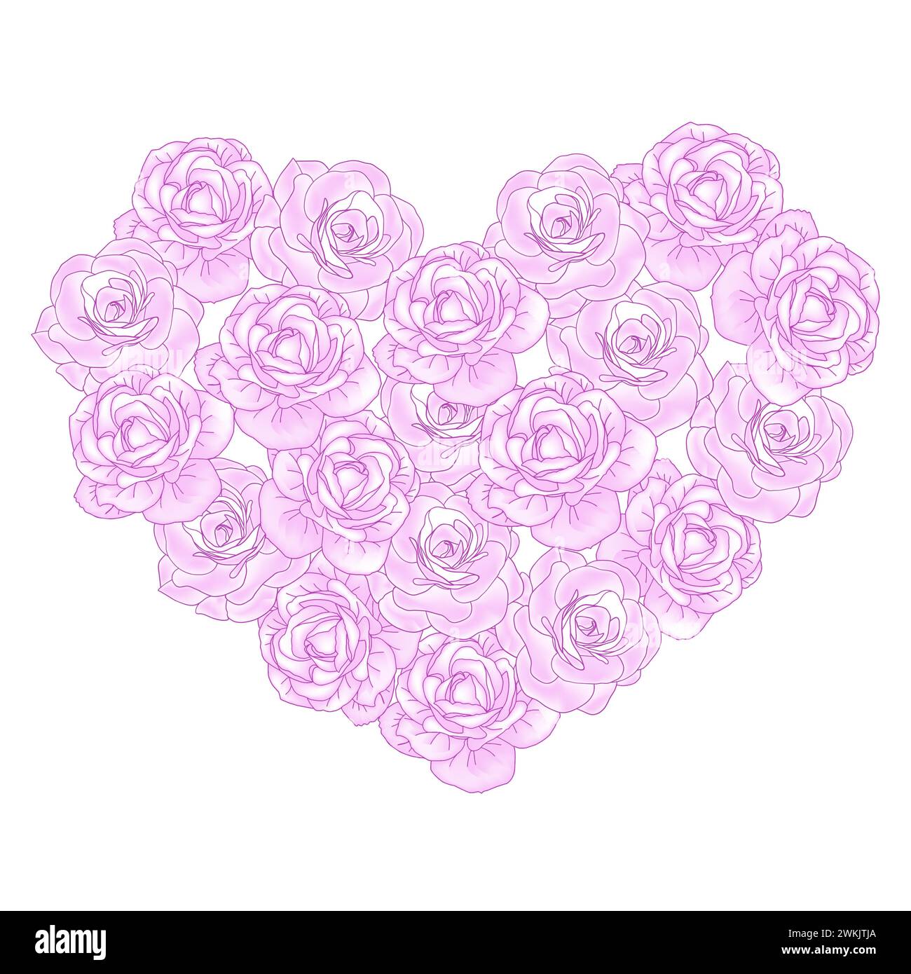 Light pink camellia flower hearts, hand drawn floral elements for ...