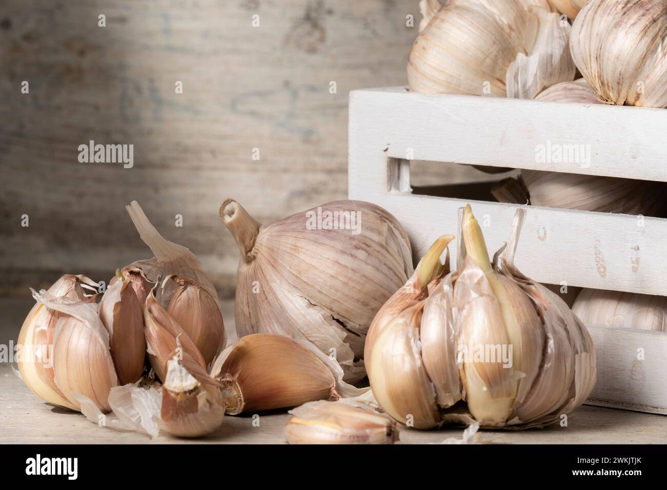 Close up view of sprouted dry garlic, healthy food ingredient ...