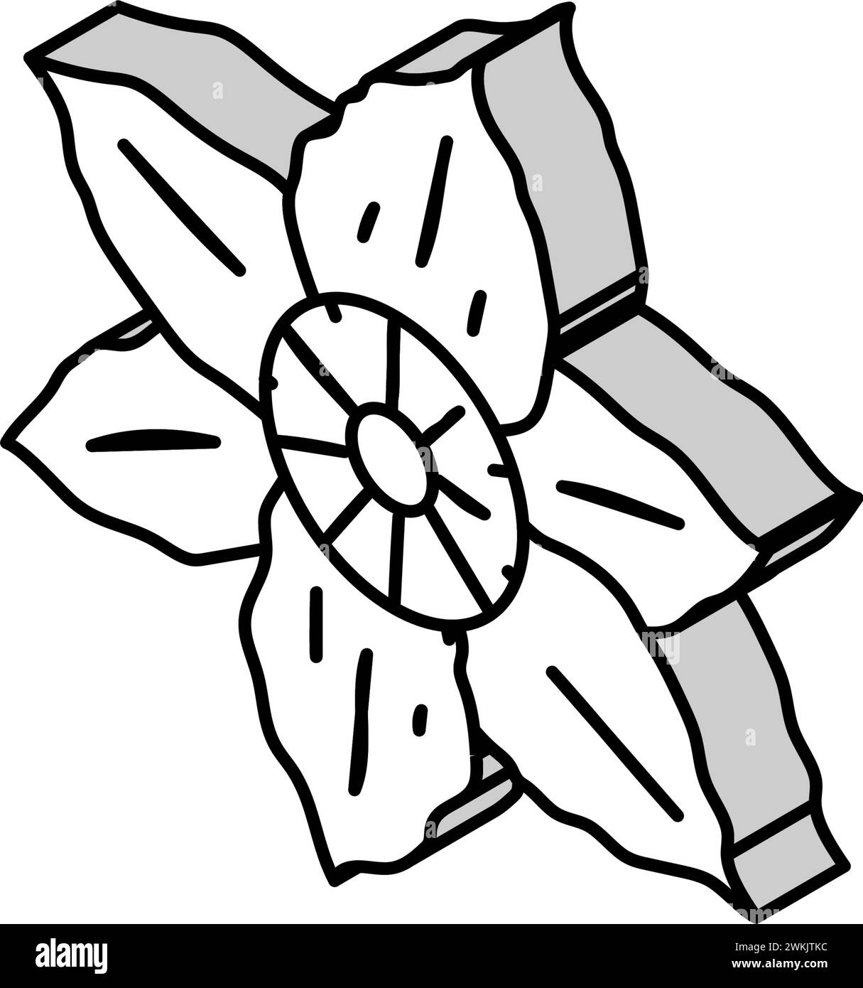 clematis flower spring isometric icon vector illustration Stock Vector ...