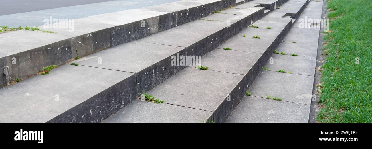 Scruffy flower hi-res stock photography and images - Alamy