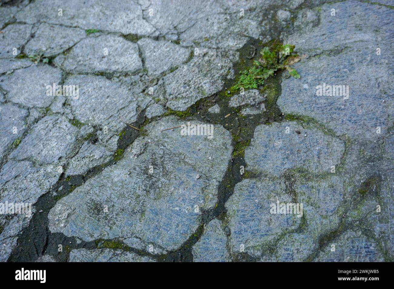 Photos of objects with neat arrangements, background objects Stock ...