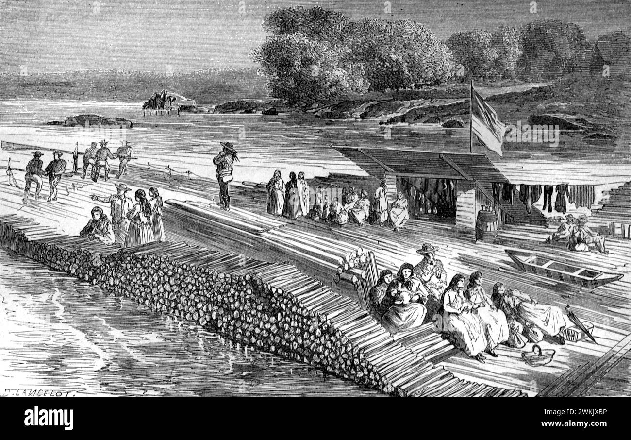 Logs, Log Raft, Logging Raft or Boats on River Danube. Vintage or ...