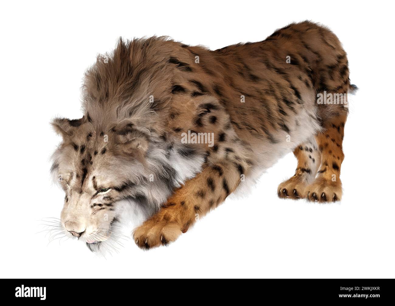 3D rendering of a sabertooth tiger isolated on white background Stock ...