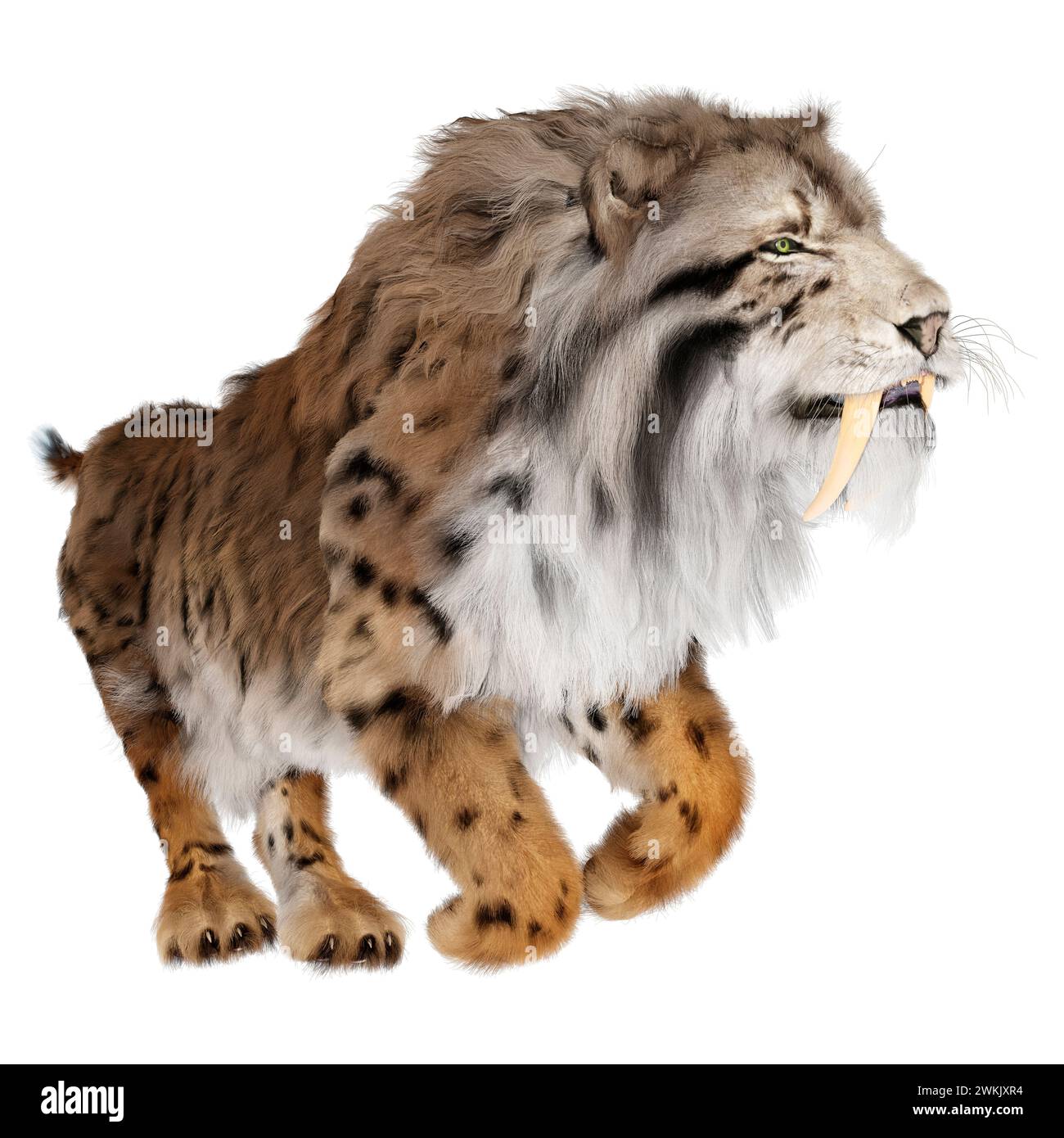 Sabertooth hi-res stock photography and images - Alamy