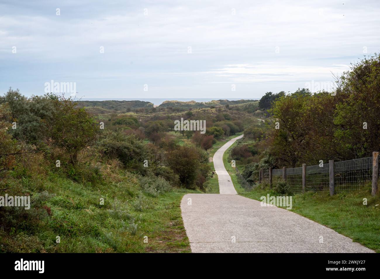 narrow concreted path through the dune landscape of the north sea Stock ...