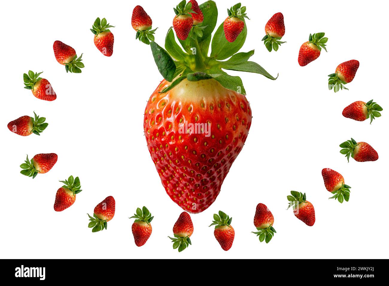 Arrangement of one big strawberry surrounded by a group of smaller ...