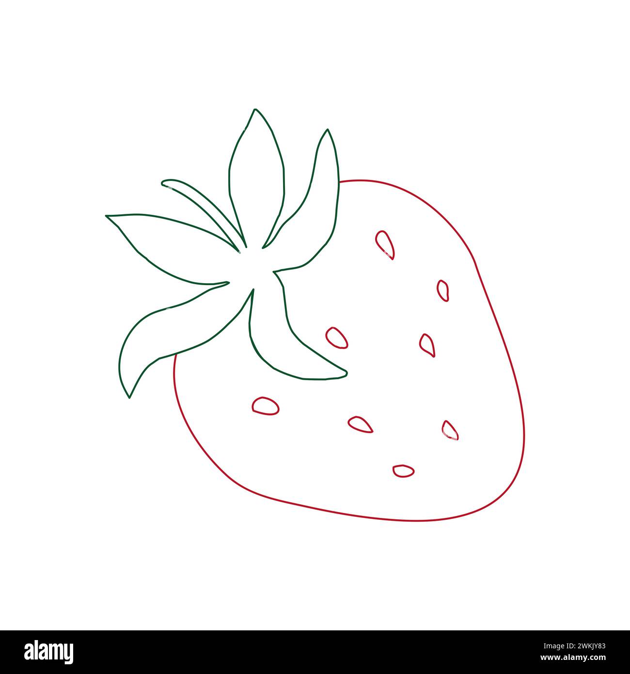 Strawberry line art summer fruit icon, logo, coloring page. Sweet food ...