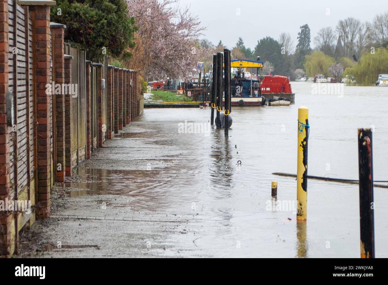 Old Windsor, UK. 21st February, 2024. A Flood Alert is back once again ...