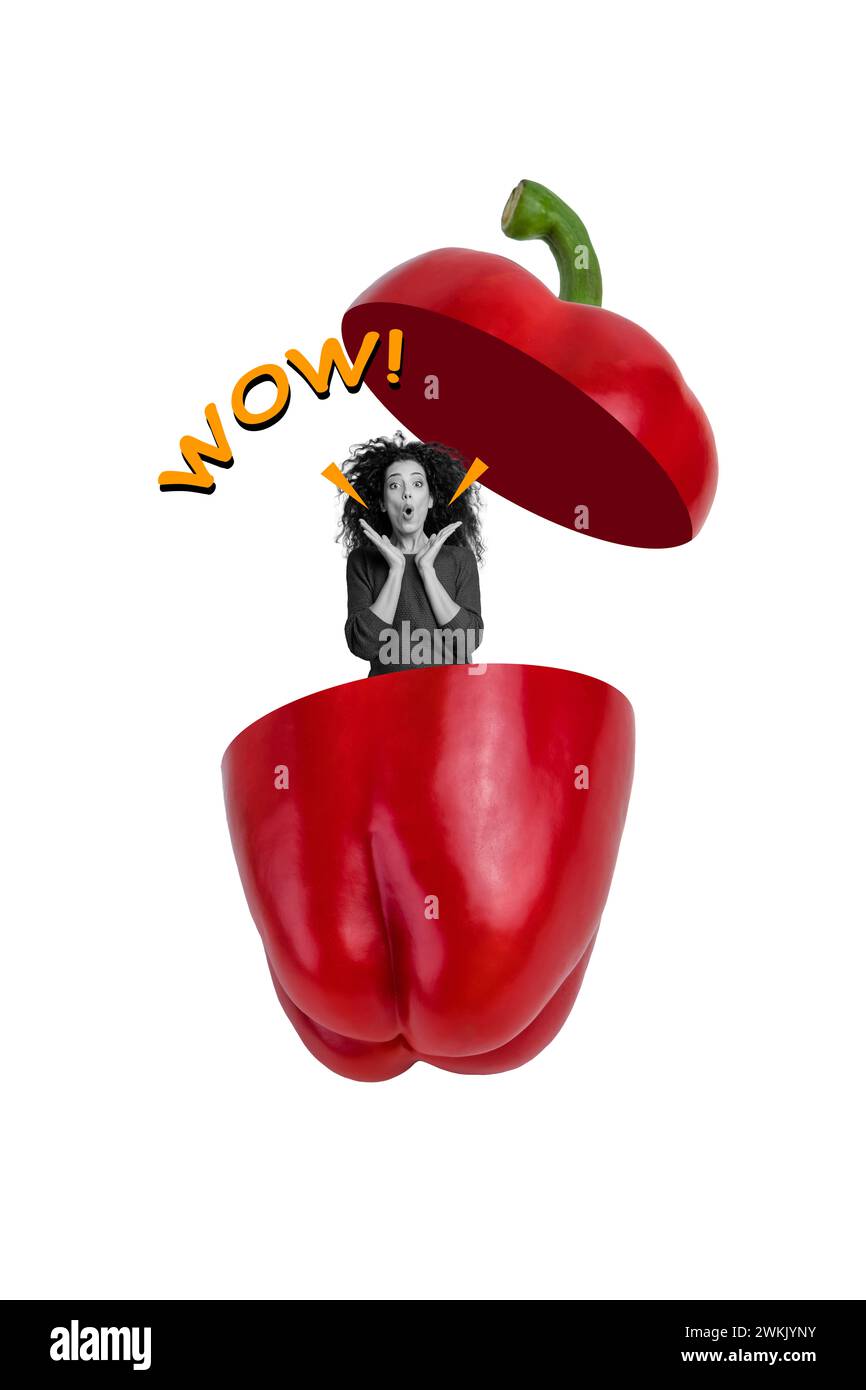 Vertical Placard Collage Of Funny Young Lady Surprised Inside Cutted