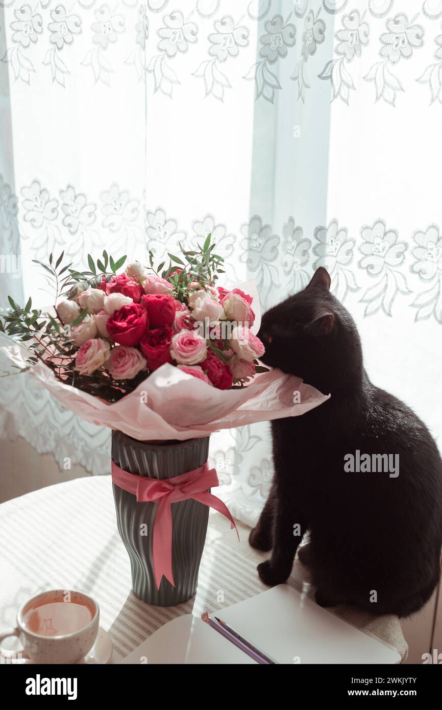 Cat sniffing at rose hi-res stock photography and images - Alamy