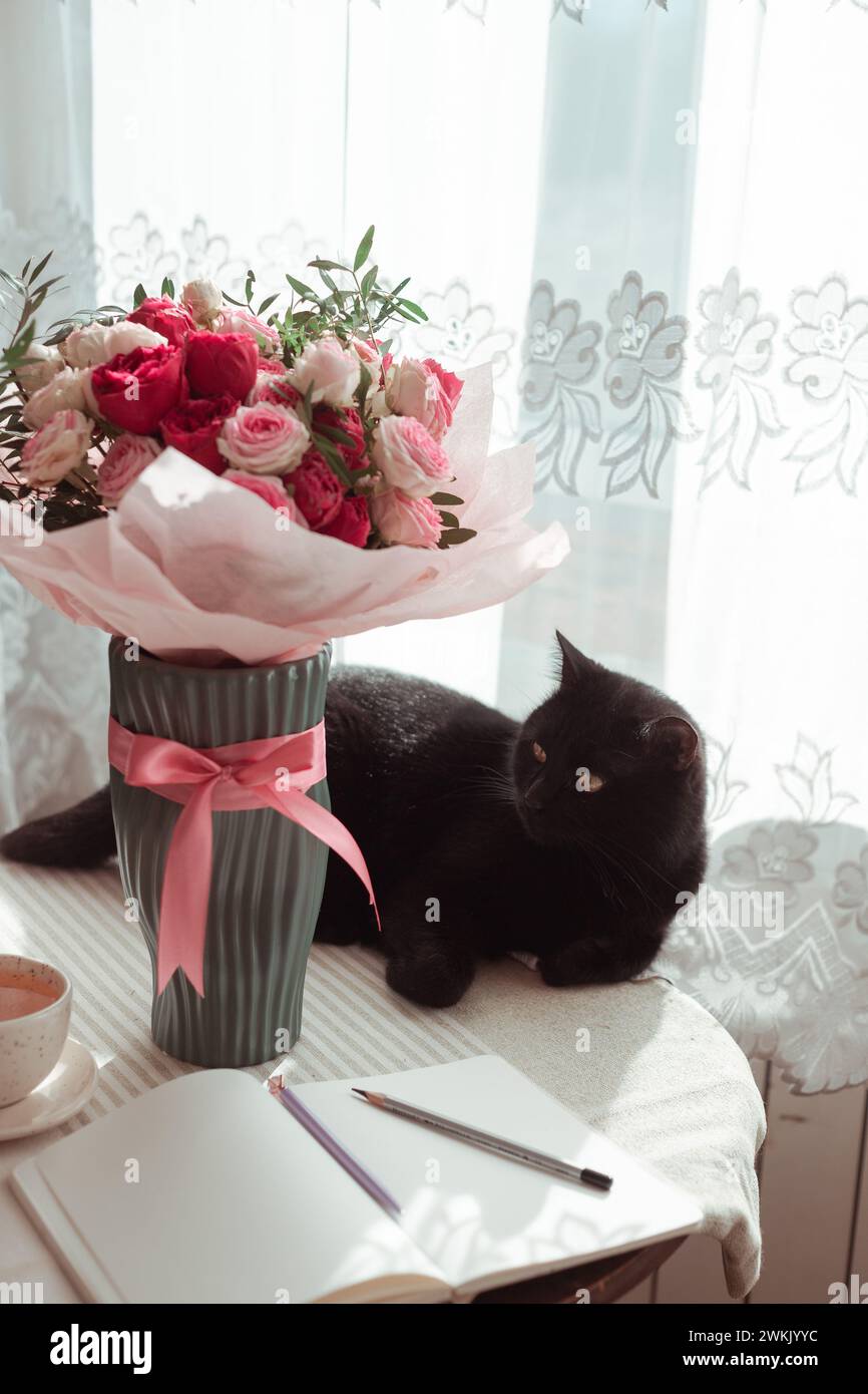 Cat sniffing at rose hi-res stock photography and images - Alamy
