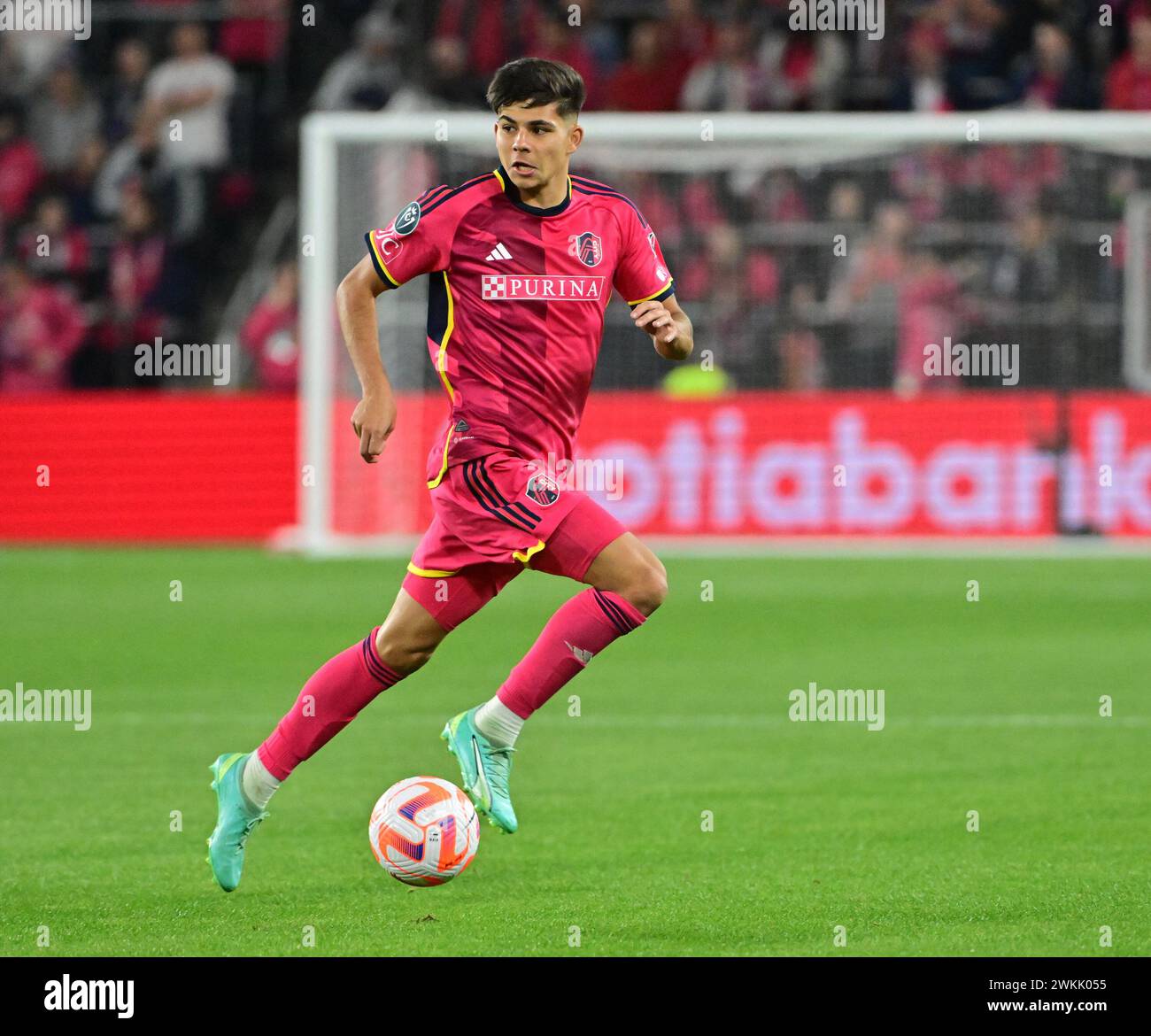 St. Louis, USA. 20th Feb, 2024. St. Louis City defender Anthony ...