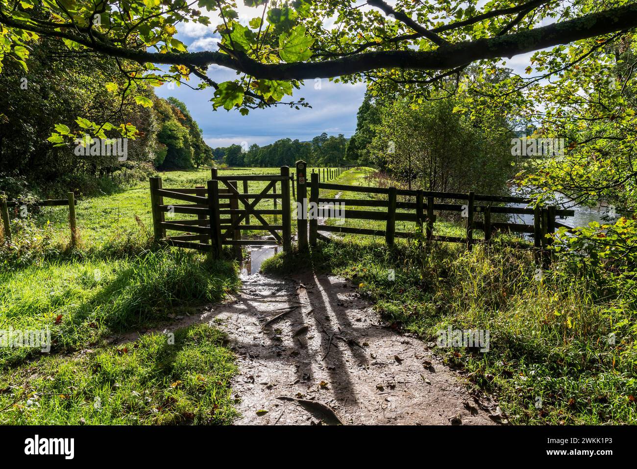 Views from footpath walk near Gouthwaite Reservoir part of The ...