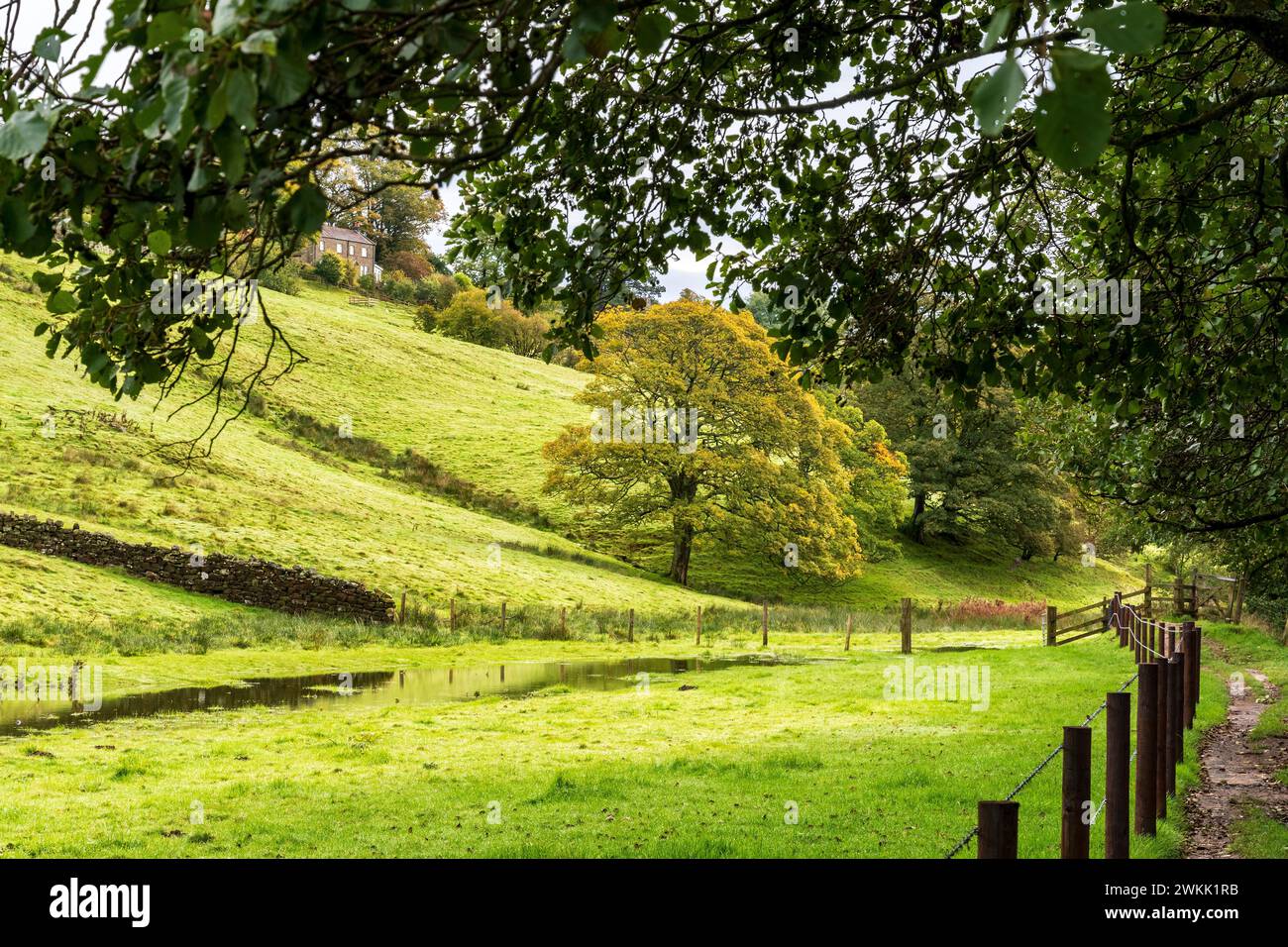 Views from footpath walk near Gouthwaite Reservoir part of The ...