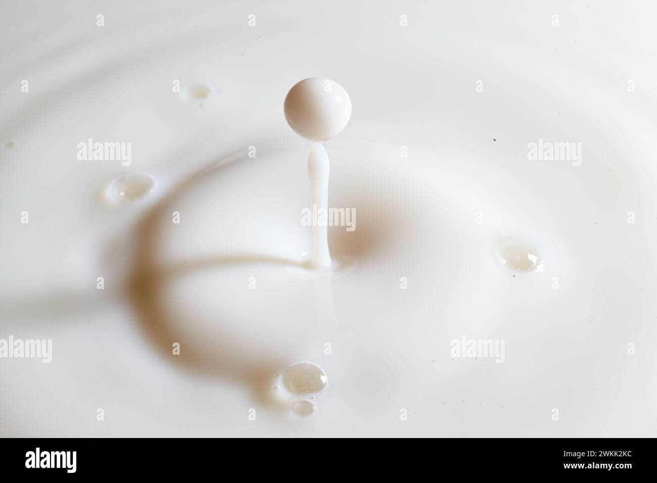 High-Speed Milk Droplet Splash with Ripples on White Background Stock ...