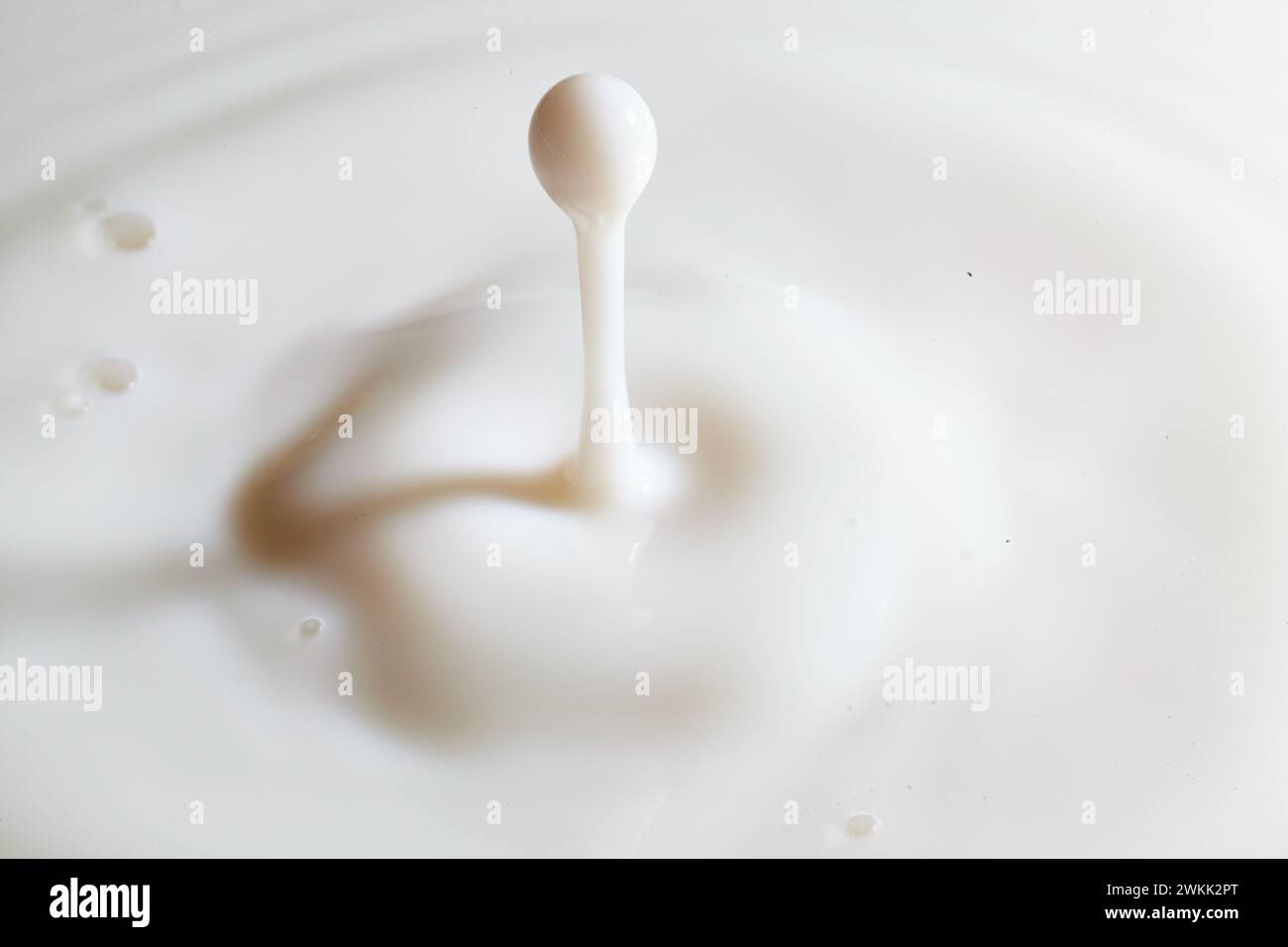 Elegant Milk Droplet Splash on White Background, High-Speed Macro Stock ...