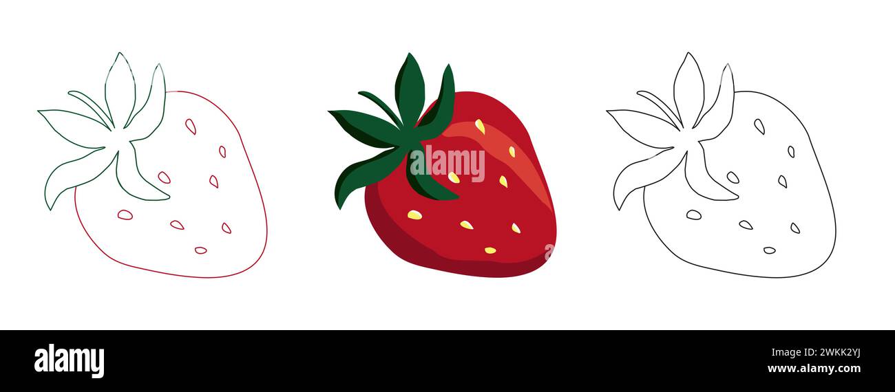 Strawberry summer hand drawn fruit set, colorful, line art. Vector ...