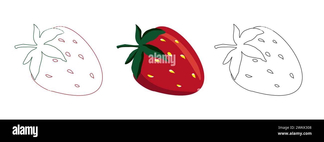 Strawberry summer hand drawn fruit set, colorful, line art. Vector ...