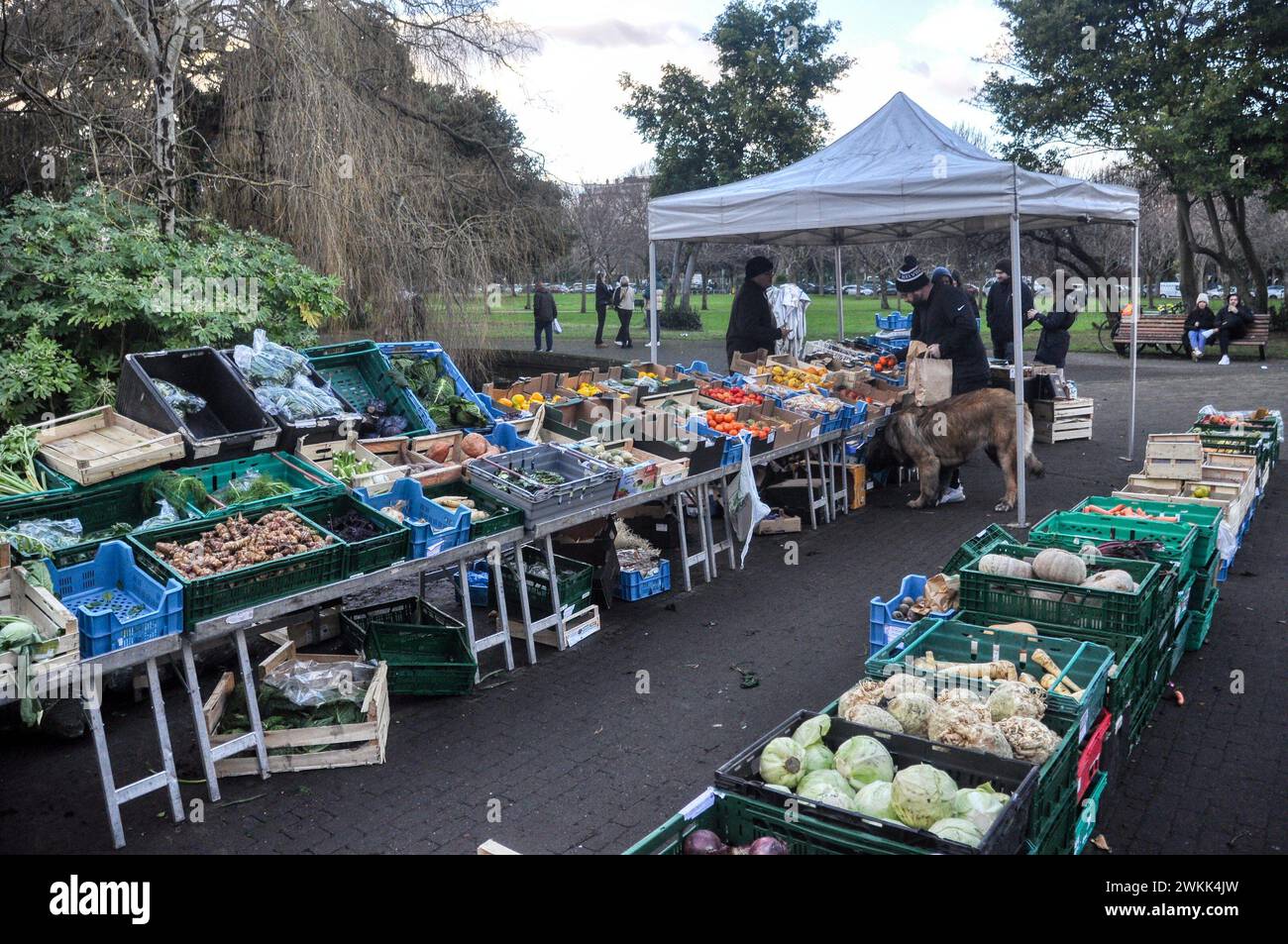 Food Fair ballsbridge dublin ireland Stock Photo - Alamy