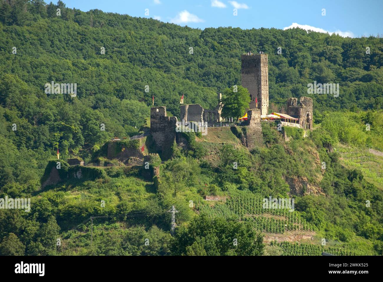 The scenic view of Metternich Castle on the green hillside. Beilstein ...