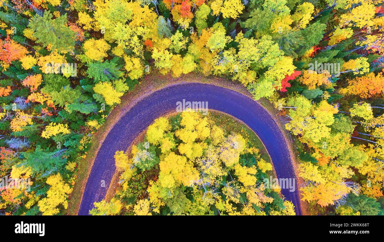 Aerial Top Down 180 Degree Autumn Road Through Vibrant Forest Foliage ...