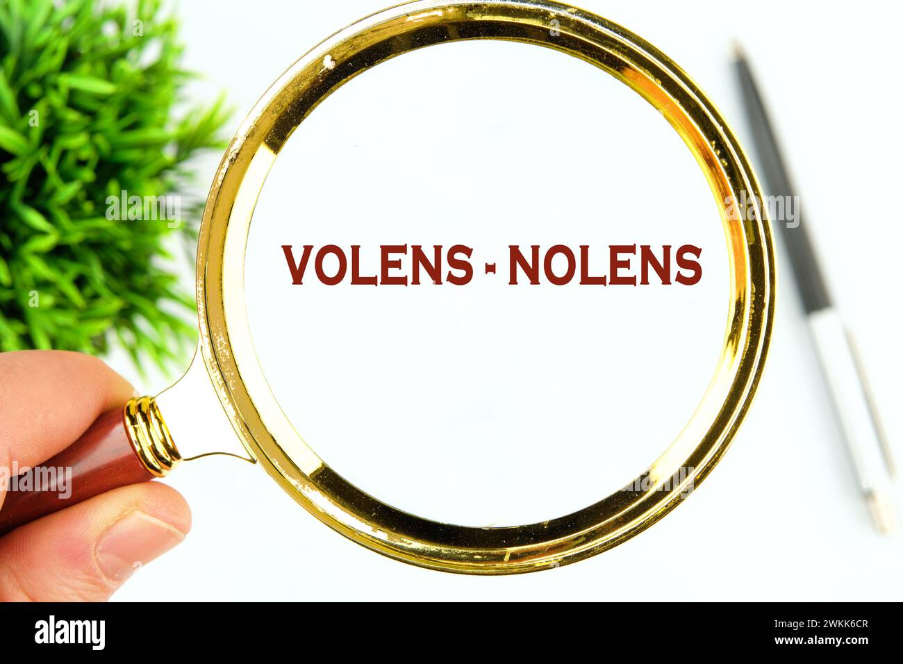 Willy - nilly latin expression volens-nolens (willing or unwilling ...