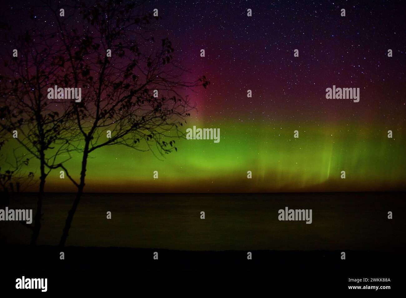 Aurora Borealis over Tranquil Lake with Silhouetted Tree Stock Photo - Alamy